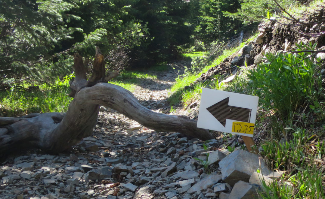 It took me a decade to ride the 25-mile Firecracker 50 loop, here's why